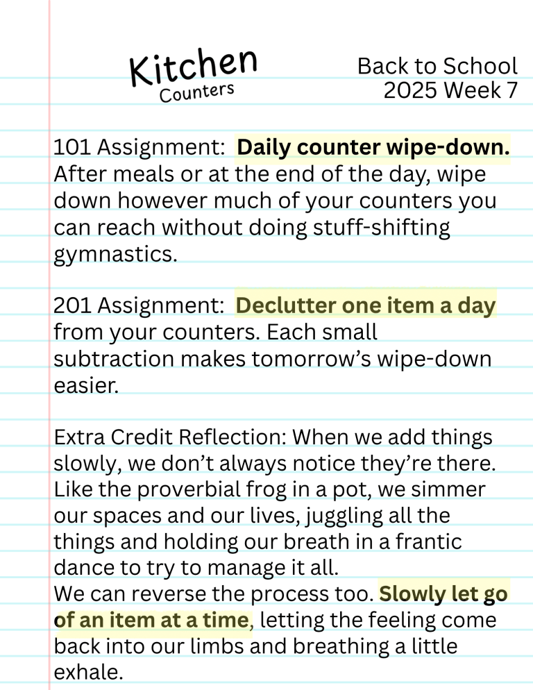 BTS Week 7: Kitchen Counters – Uncovering Real